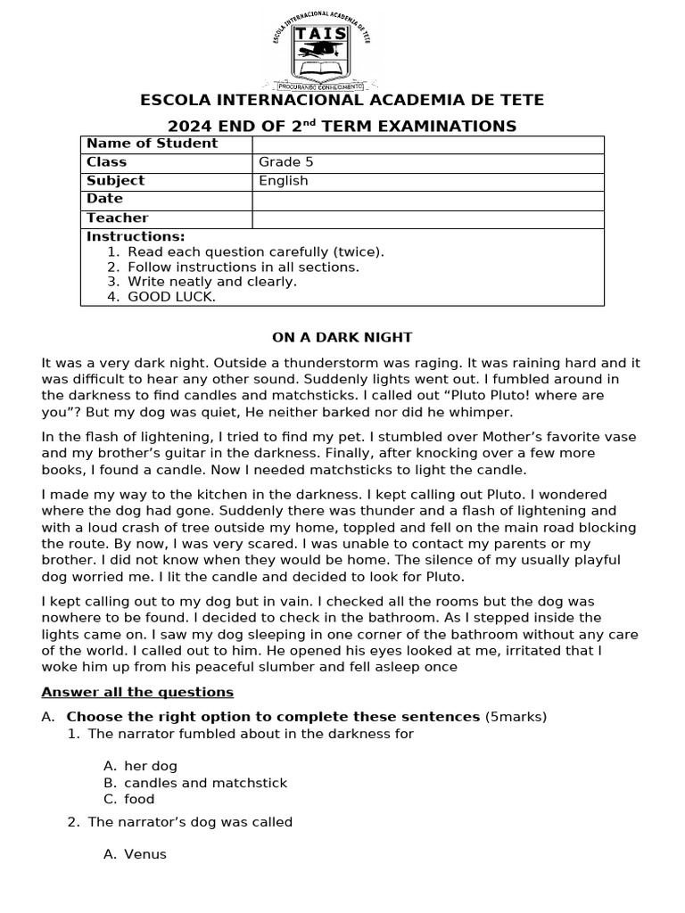 Grade 5 English Exam: Dark Night Story | PDF