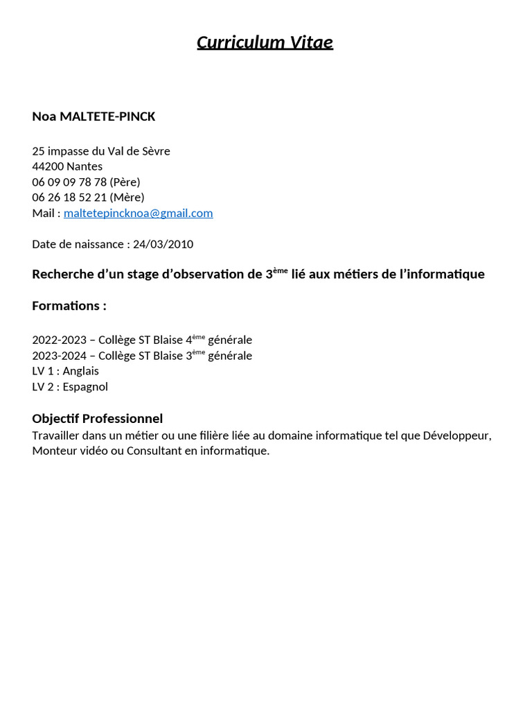 CV de Noa Maltete-Pinck : Stage Informatique | PDF