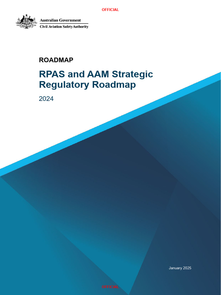 The Rpas and Aam Roadmap | PDF | Unmanned Aerial Vehicle | Policy