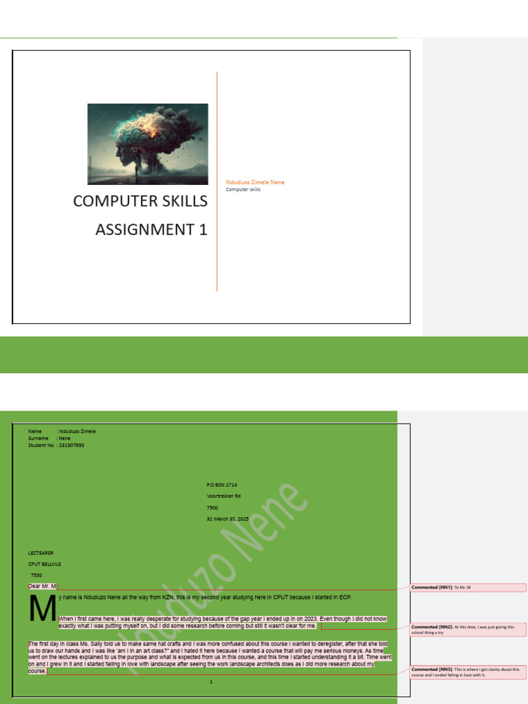 Computer Skills Assignment 1 | PDF
