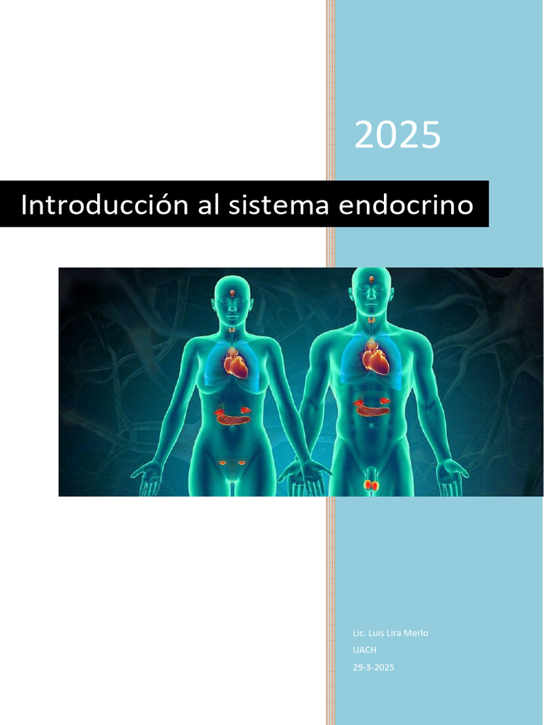 Introducción Al Sistema Endocrino | PDF | Hormona | Sistema endocrino