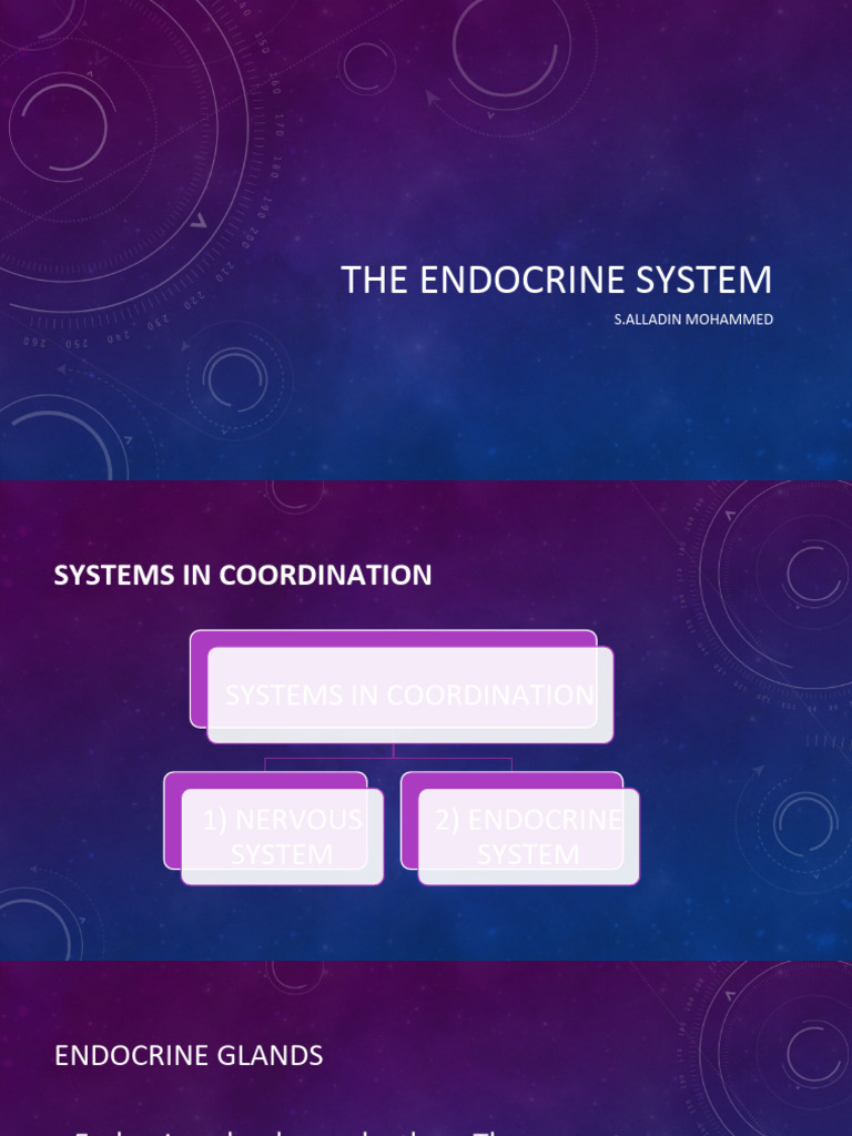 The Endocrine System | PDF