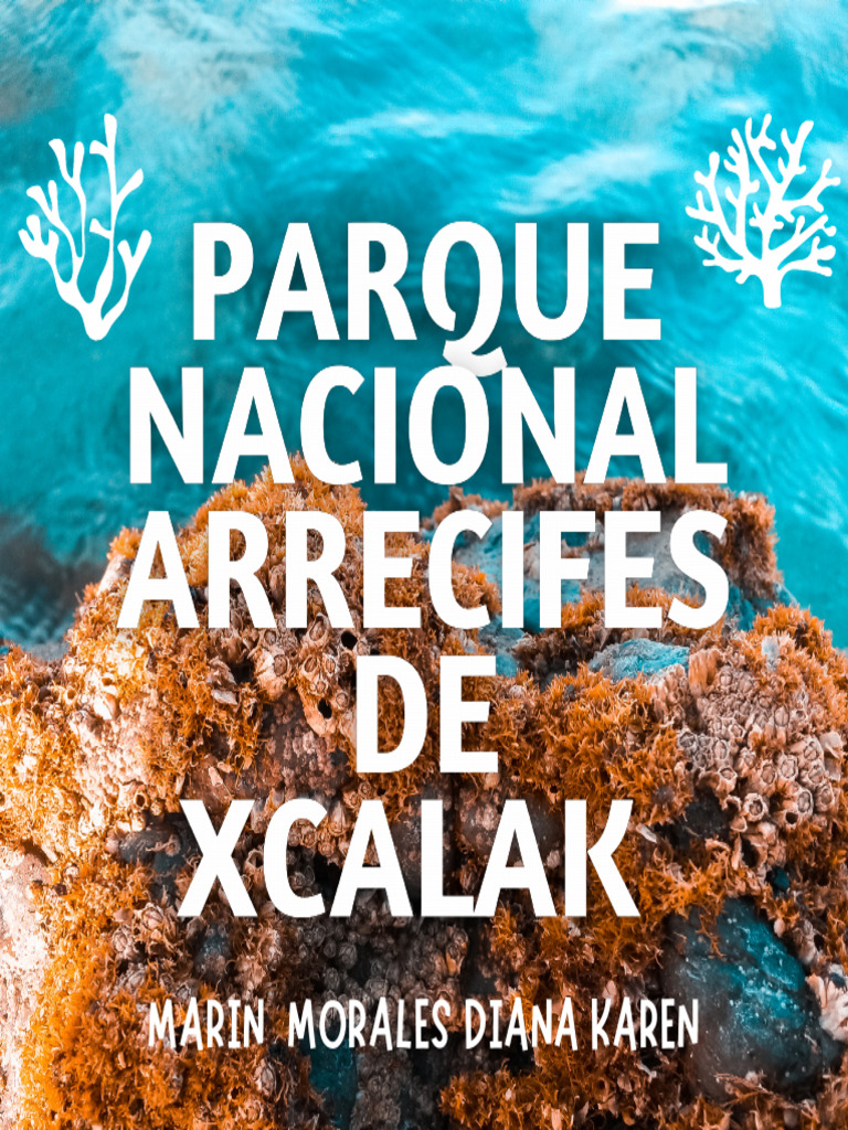Arrecifes de Xcalak | PDF