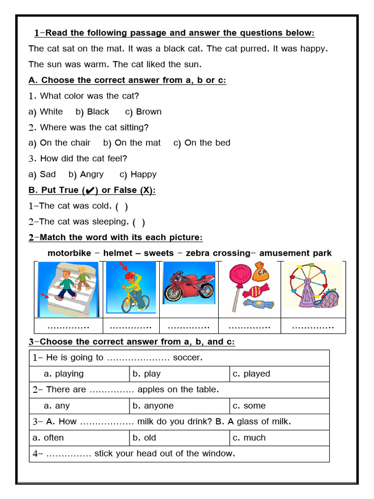 Worksheet SS | PDF