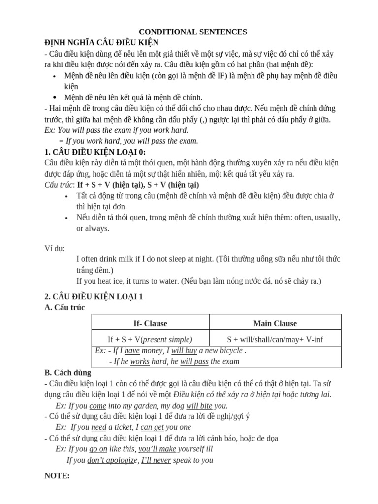 LT Conditional Sentences | PDF