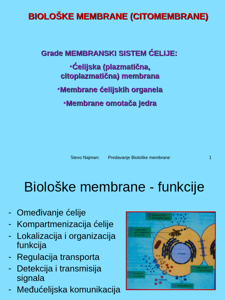BC Membrane 221016 | PDF