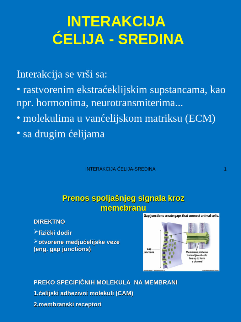 BC INTERAKCIJA Celija Sredina 221016 | PDF