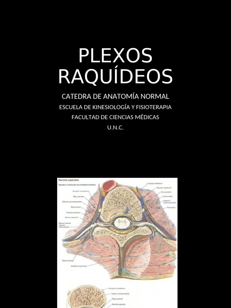 Plexos 2022 | PDF