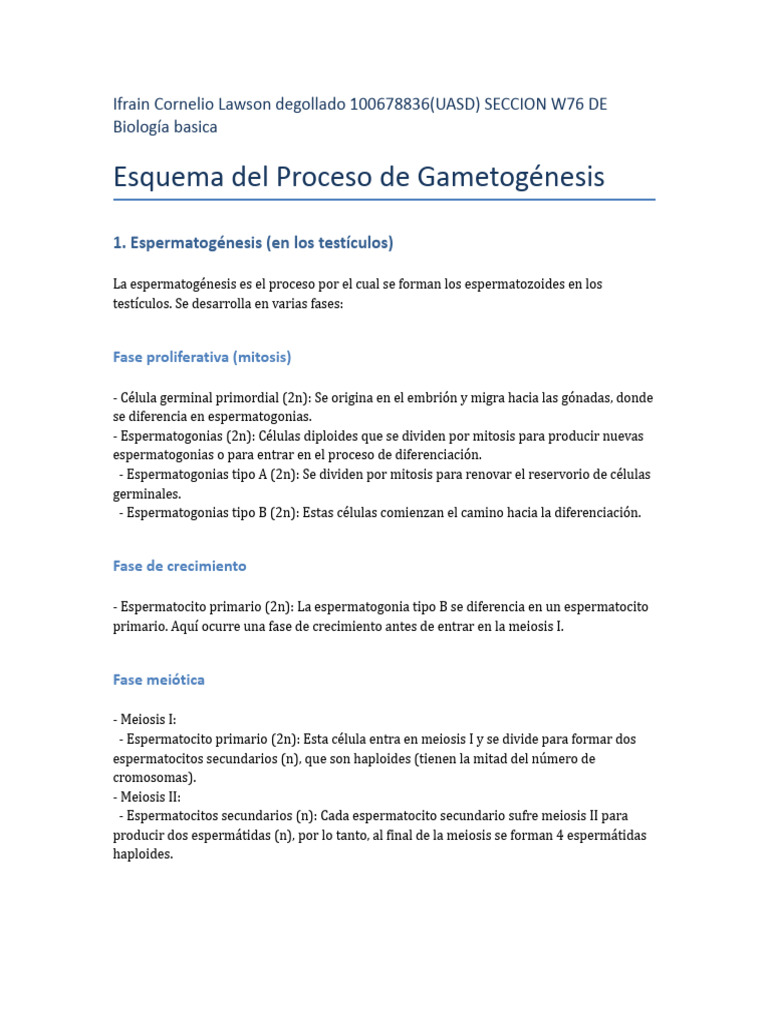 Esquema_Proceso_Gametogénesis_Detallado | PDF | Mitosis | Sistema reproductivo