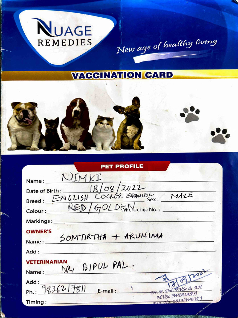 Nimki Travel Docu | PDF