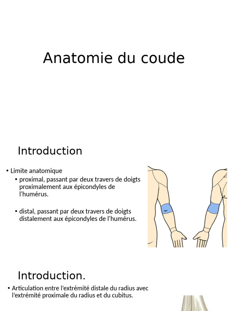 Anatomie détaillée du coude humain | PDF | Articulation (anatomie) | Anatomie humaine