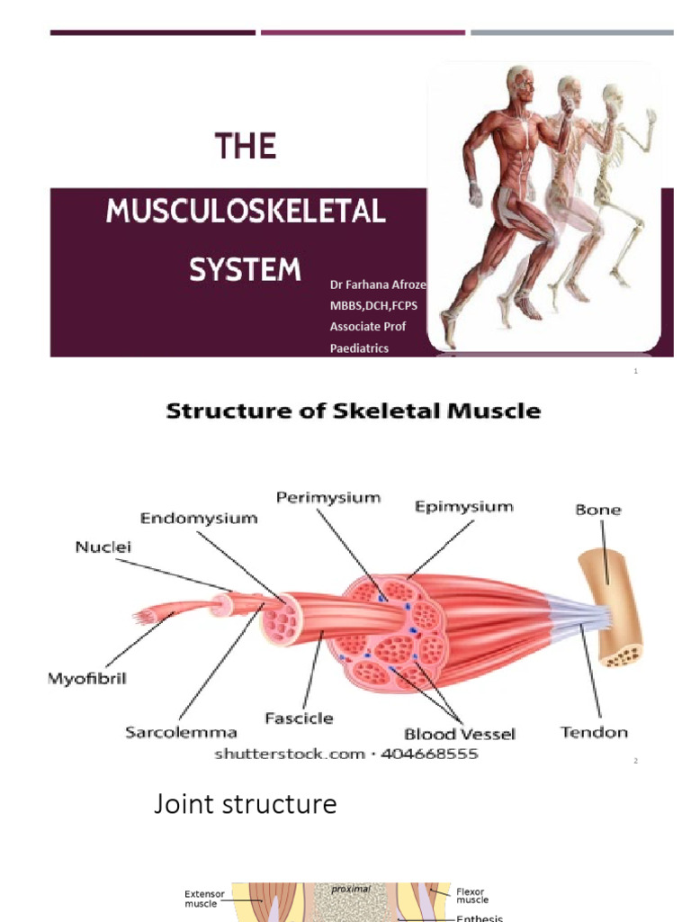 Musculoskeletal-1 221227 200741 | PDF | Arthritis | Immunology