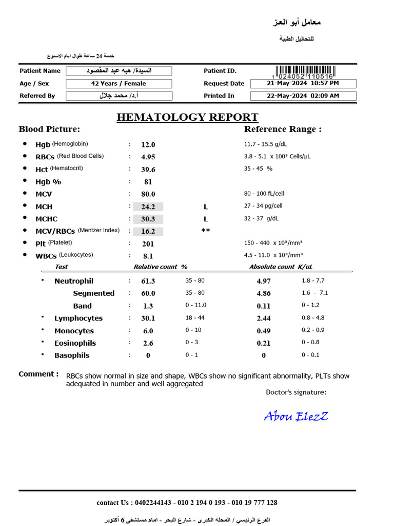 Hematology Report Summary | PDF | White Blood Cell | Blood