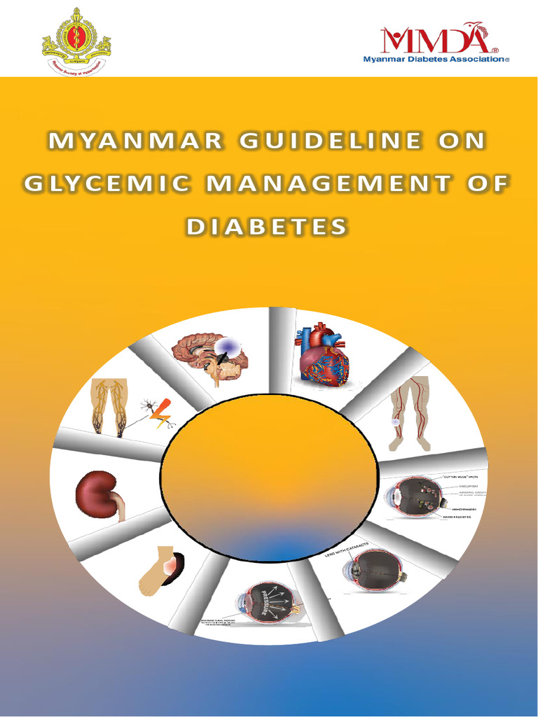 DM Myanmar Guideline (2) 8e8fdb6b De2e 4f7d A909 2afa61954b7e | PDF ...