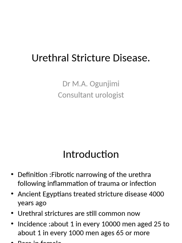 urethral stricture | PDF | Urology | Genitourinary System