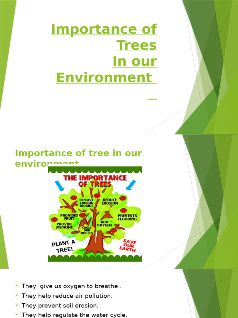 Importance of Trees in Our Environment | PDF
