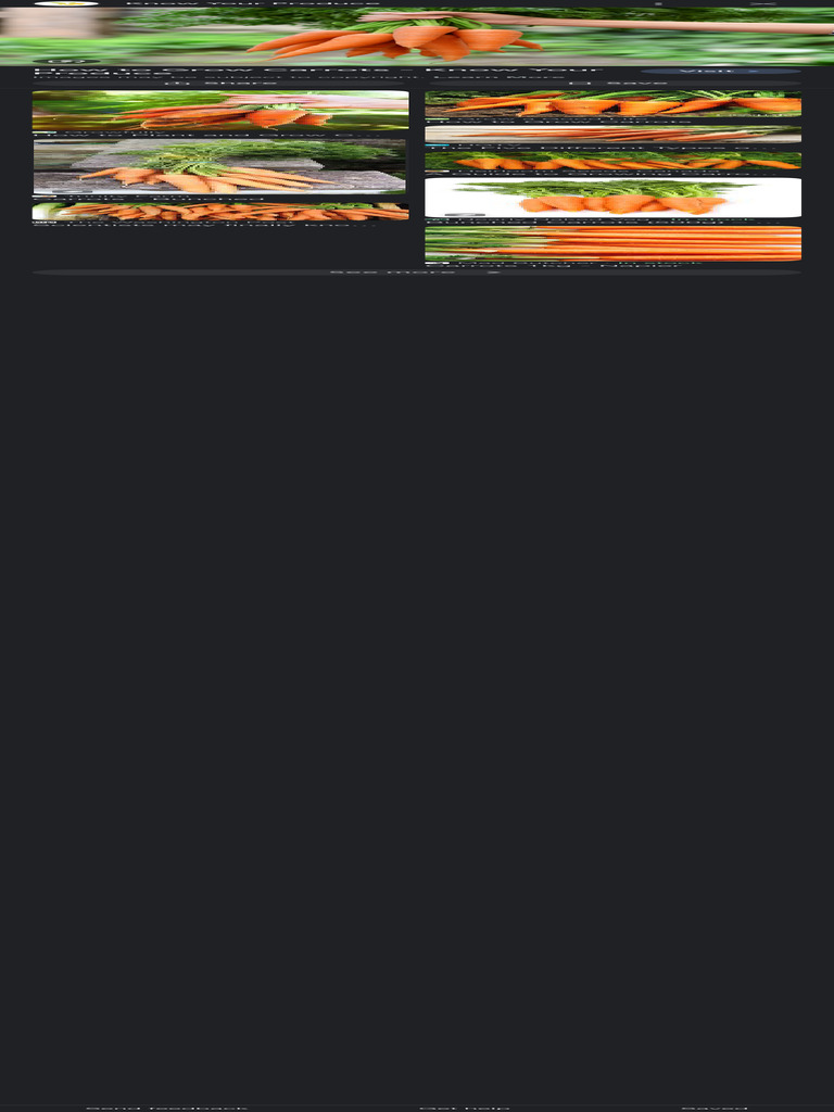 How to Grow Carrots: A Complete Guide | PDF