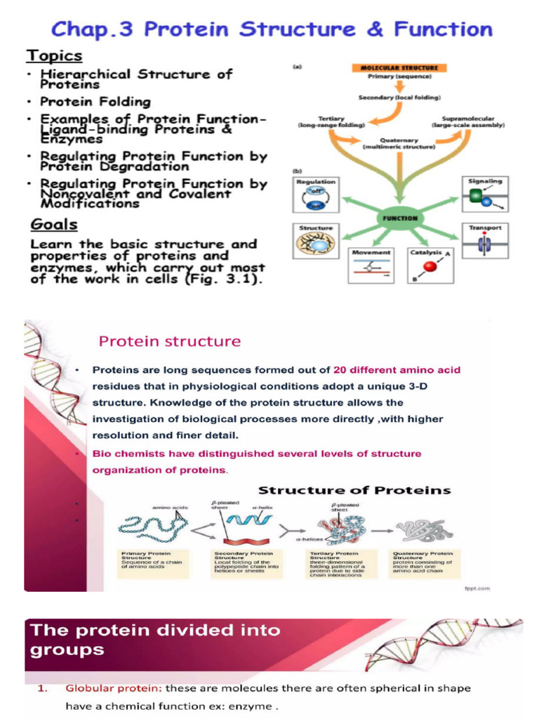 Protein Structure | PDF