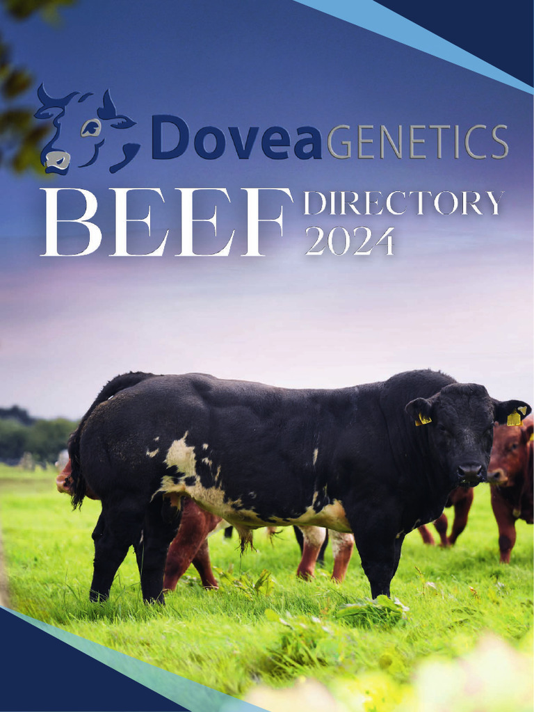 Beef Catalogue 2024 Compressed | PDF | Dairy Cattle | Cattle