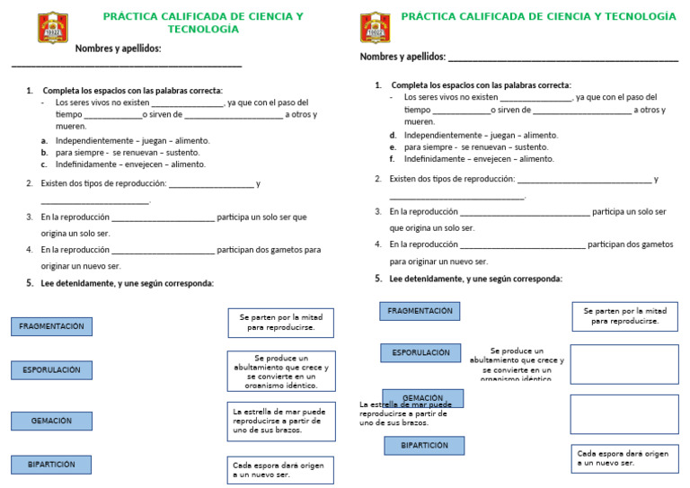 Práctica de Ciencias Naturales | PDF | Reproducción | Espora