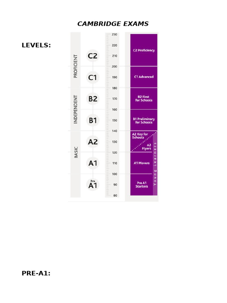 Levels Cambridge | PDF