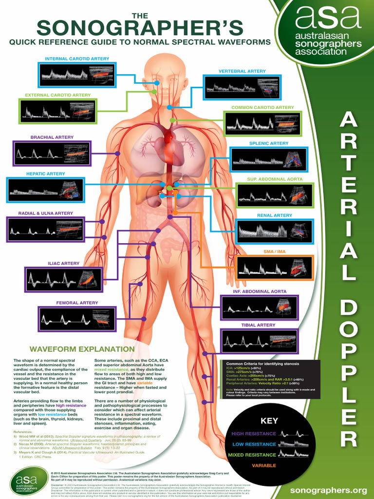 Arterial Doppler 2019 | PDF