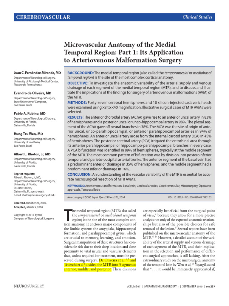 Anatomia Vascular Region Temporal Mesial | PDF | Hippocampus Anatomy ...
