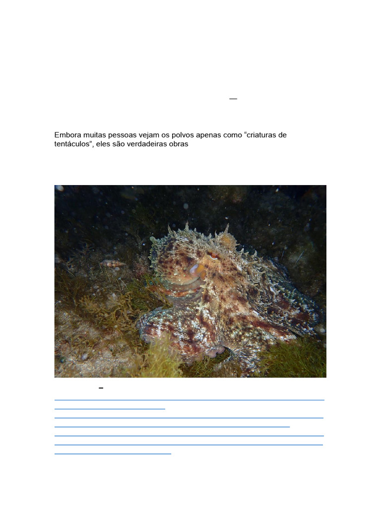 Posição do Polvo na Camuflagem Marinha | PDF | Polvo | Camuflagem