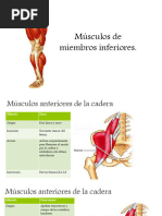 Anatomía de los músculos del muslo | PDF | Rodilla | Anatomía del ...