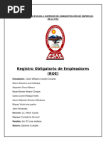 Registro Del ROE | PDF
