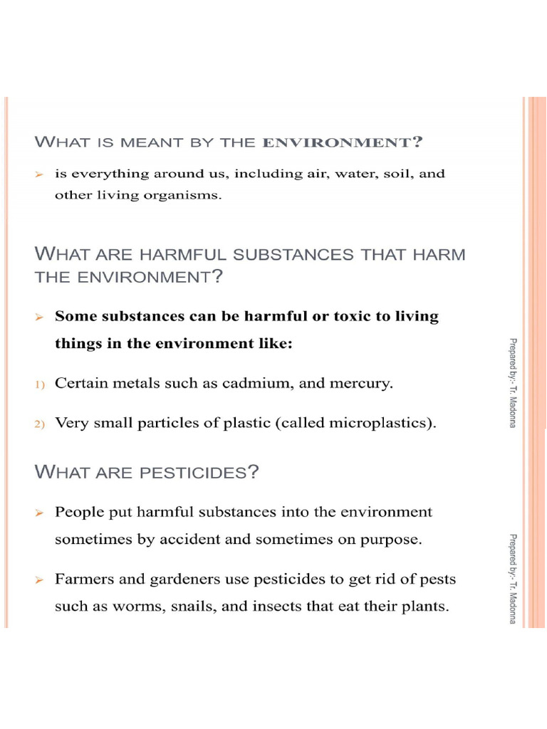 Grade 6 Harm To Food Chains and Food Webs | PDF