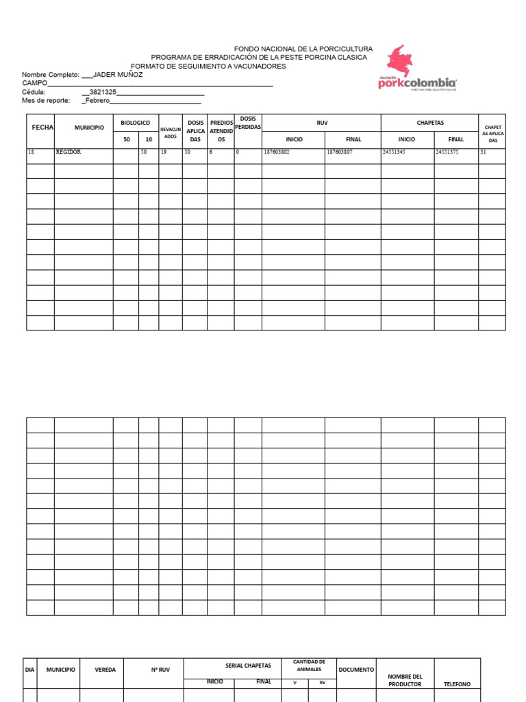 RESUMEN PPC_SPM FORMATO EN CAMPO | PDF