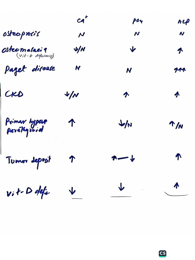 Bone Profile | PDF