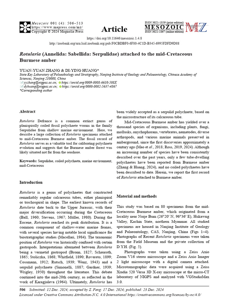 Rotularia (Annelida: Sabellida: Serpulidae) Attached To The Mid ...