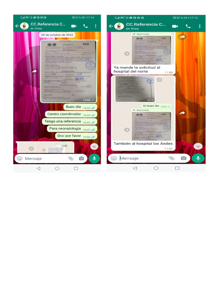 CAPTURAS DE PACIENTE DAG | PDF