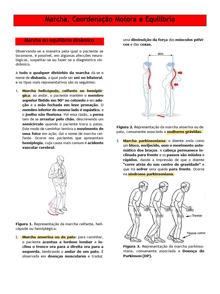 Marcha, Coordenação Motora e Equilíbrio | PDF | Sistema nervoso