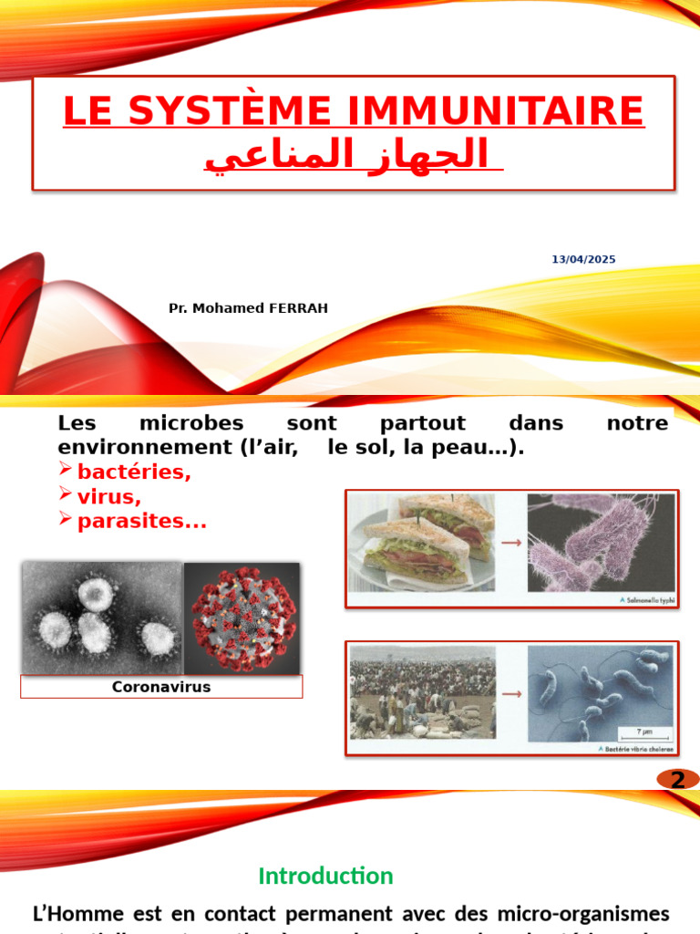Le Systeme Immunitaire Cours SVT 3AC 5 | PDF | Système immunitaire ...
