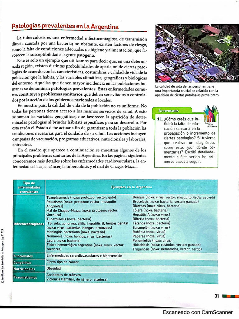 Documento de Mily (1) | PDF