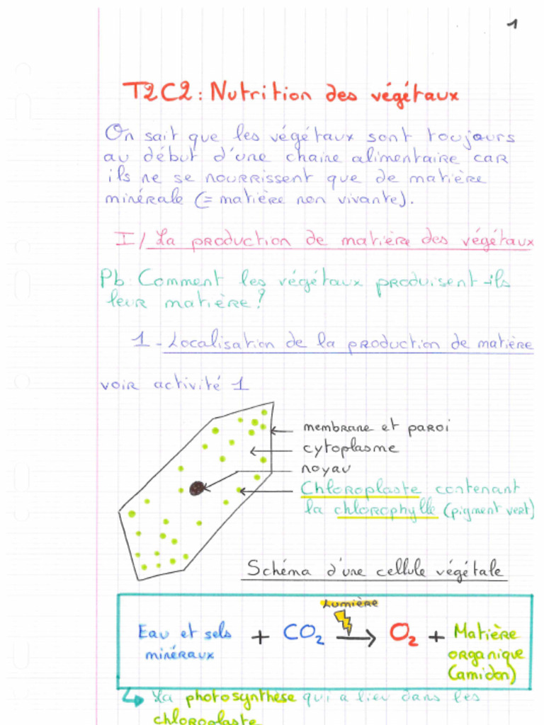 T2C2 Nutrition Des Végétaux | PDF