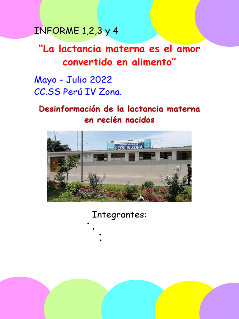 Informe 1,2,3,4 | PDF