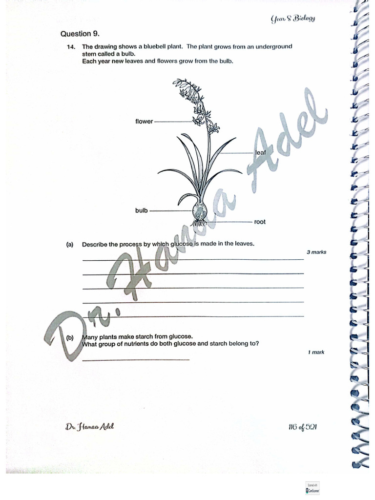 Worksheet 3 | PDF