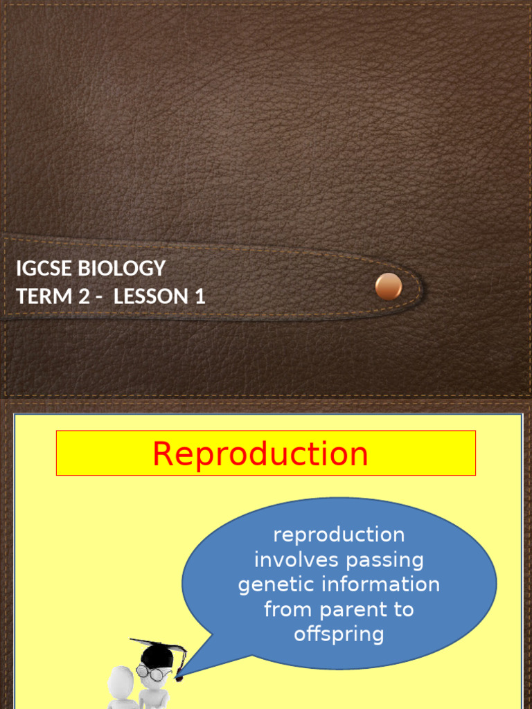 IGCSE Biology: Reproduction Basics | PDF | Sex | Sexual Reproduction