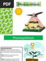 Leaf Adaptations for Photosynthesis | PDF | Leaf | Stoma
