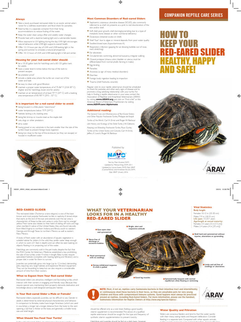 Professional 160321 ARAV Trifold Red-Eared Sliderv2 | PDF | Turtle | Reptile