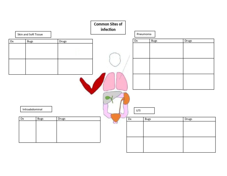 Common Sites of Infection Fill in Worksheet | PDF