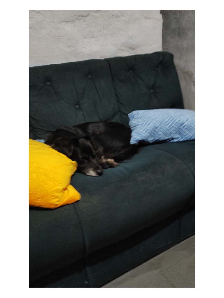 Image To PDF 20250413 070356 | PDF