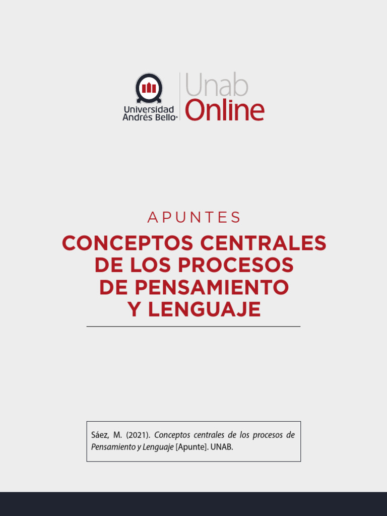 2024 - T2 - PPSN - U2 - Conceptos Centrales de Los Procesos de Pensamiento y Lenguaje | PDF ...