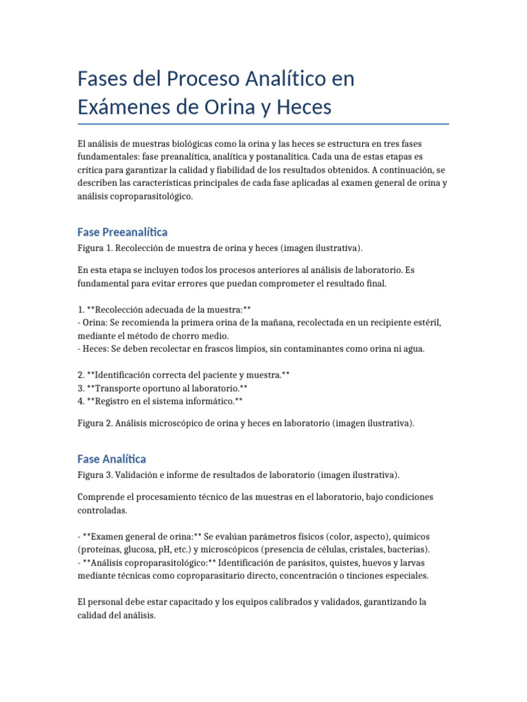 Fases - Examen Ego Orina | PDF | Laboratorios