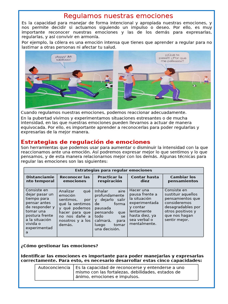 Estrategias para Regular Emociones | PDF | Las emociones ...