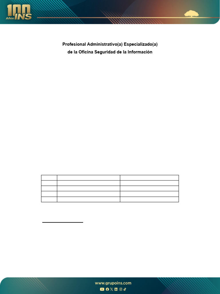 CI-005-2025-Prof. Adm. Especializado-Oficina Seg. de La Información | PDF | La seguridad ...